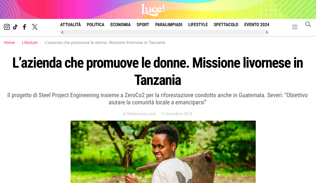 Il nostro progetto... sul web! - Steel Project Engineering